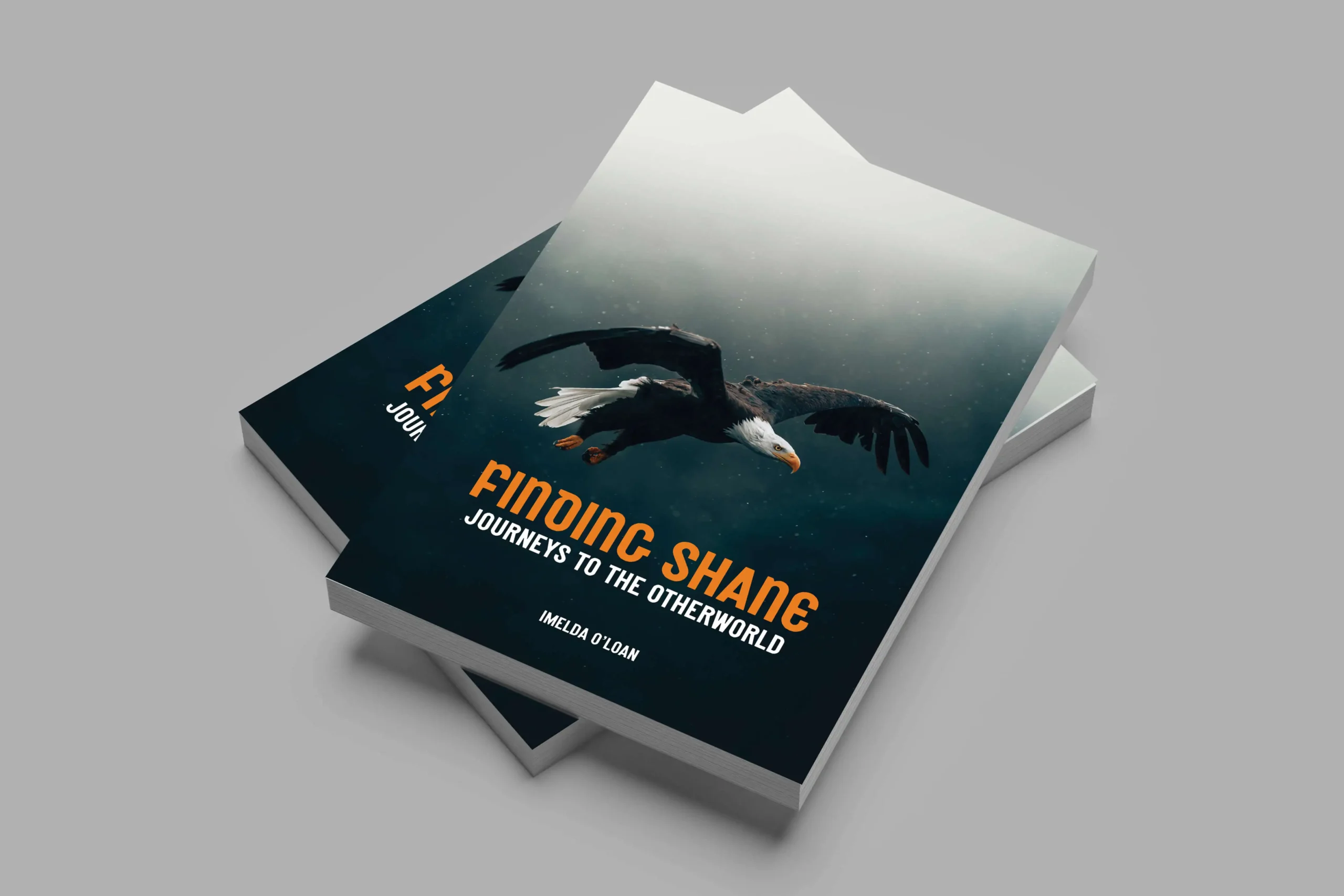 Finding Shane - Shamanic Journeys